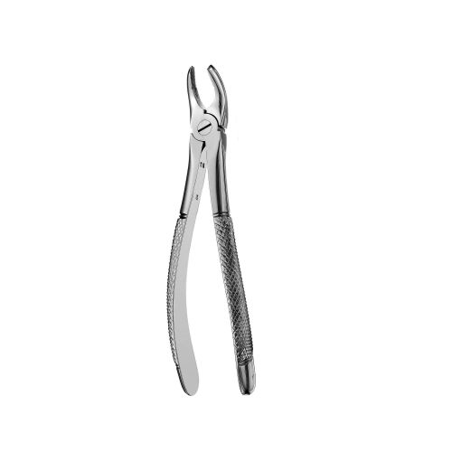 17 European Style Forceps: University of Buffalo, School of Dental Medicine